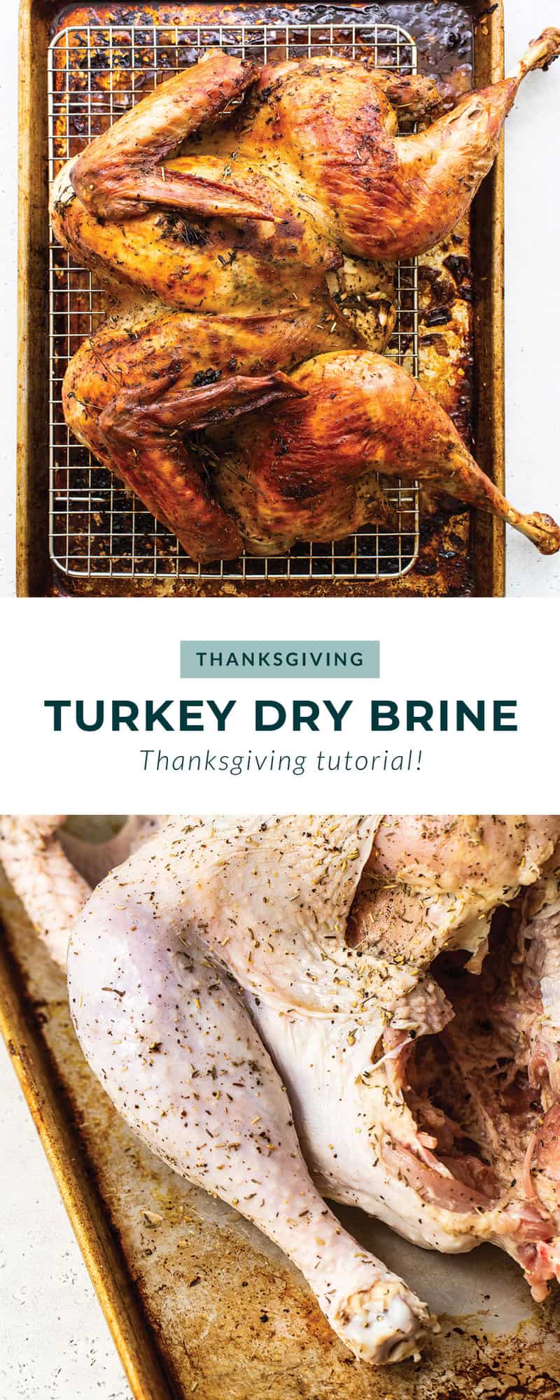 How To Dry Brine A Turkey Fit Foodie Finds